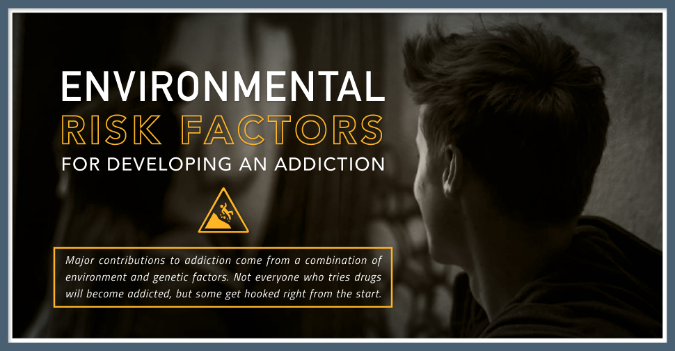 Environmental Risk Factors for Developing an Addiction