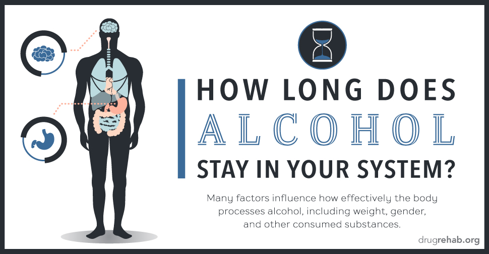 How Long Does Alcohol Stay in Your System?